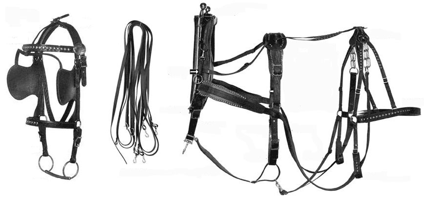 210 Team Harness